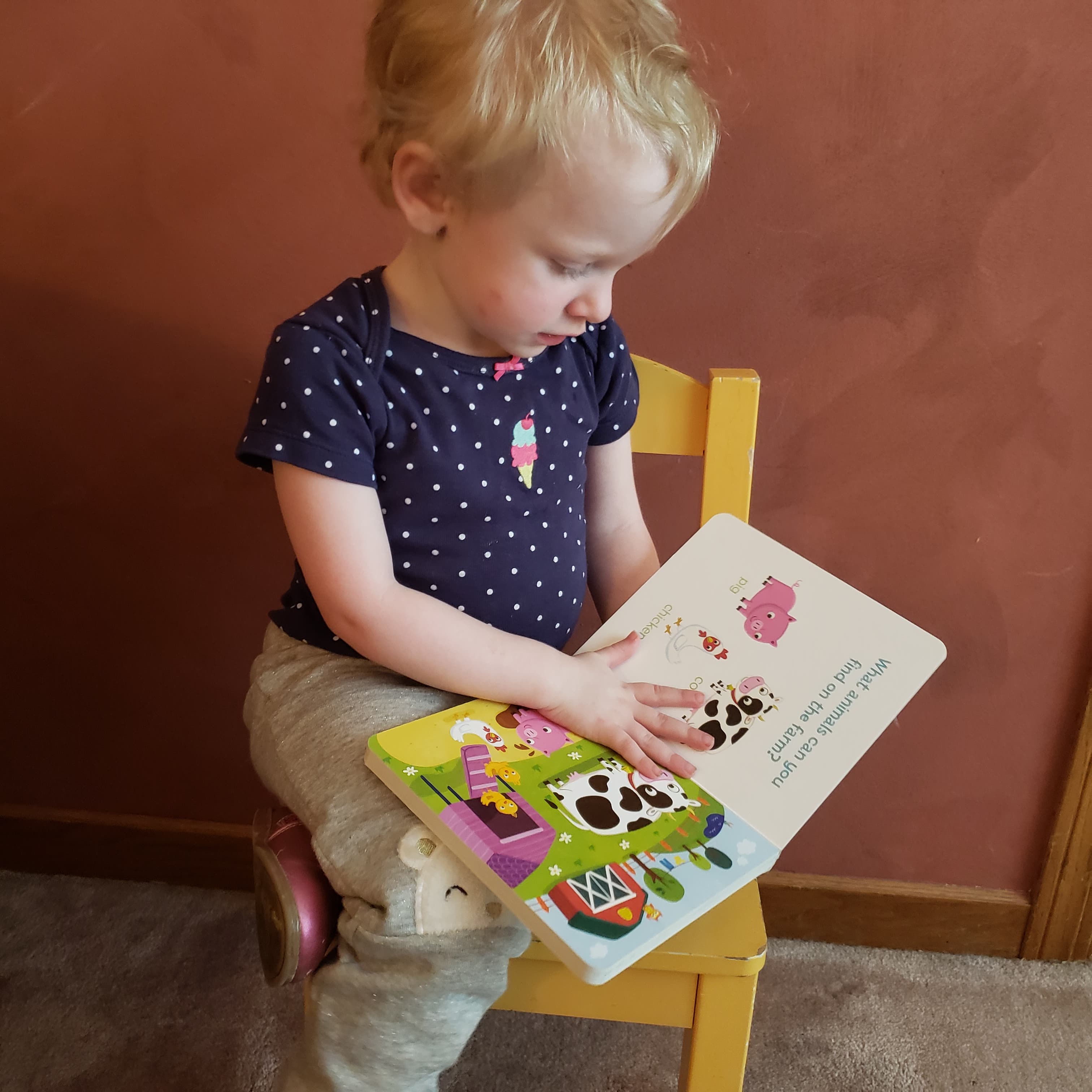 Find It Series – Tot Resource Review – Just a Secular Homeschooler